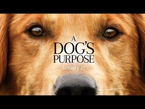 A Dog’s Purpose Review: Life Lessons, Story Twists, and Canine Cast ...